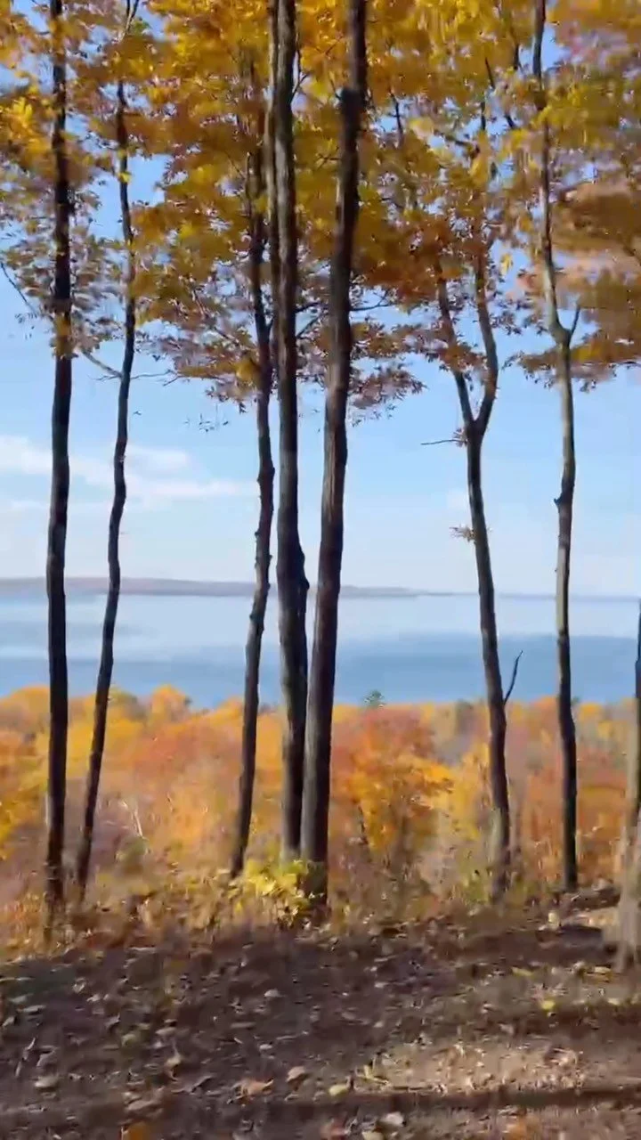 dutton+co | real estate group