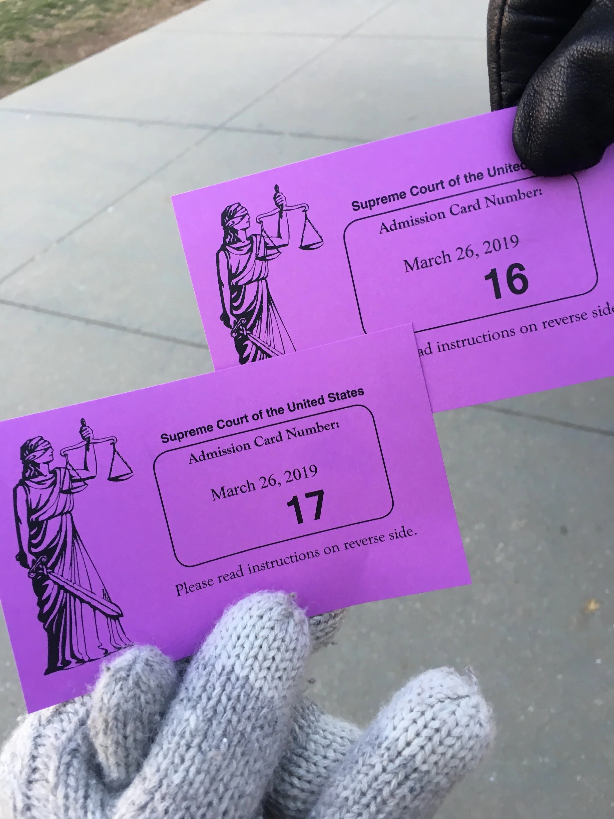 News — Rachel Gita Karp