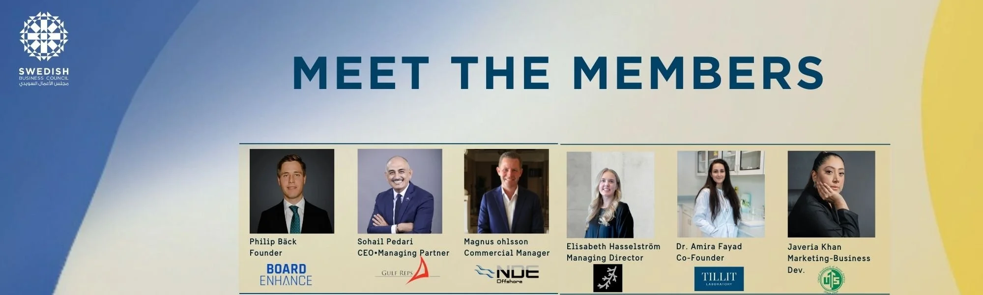 Meet the Members — Swedish Business Council