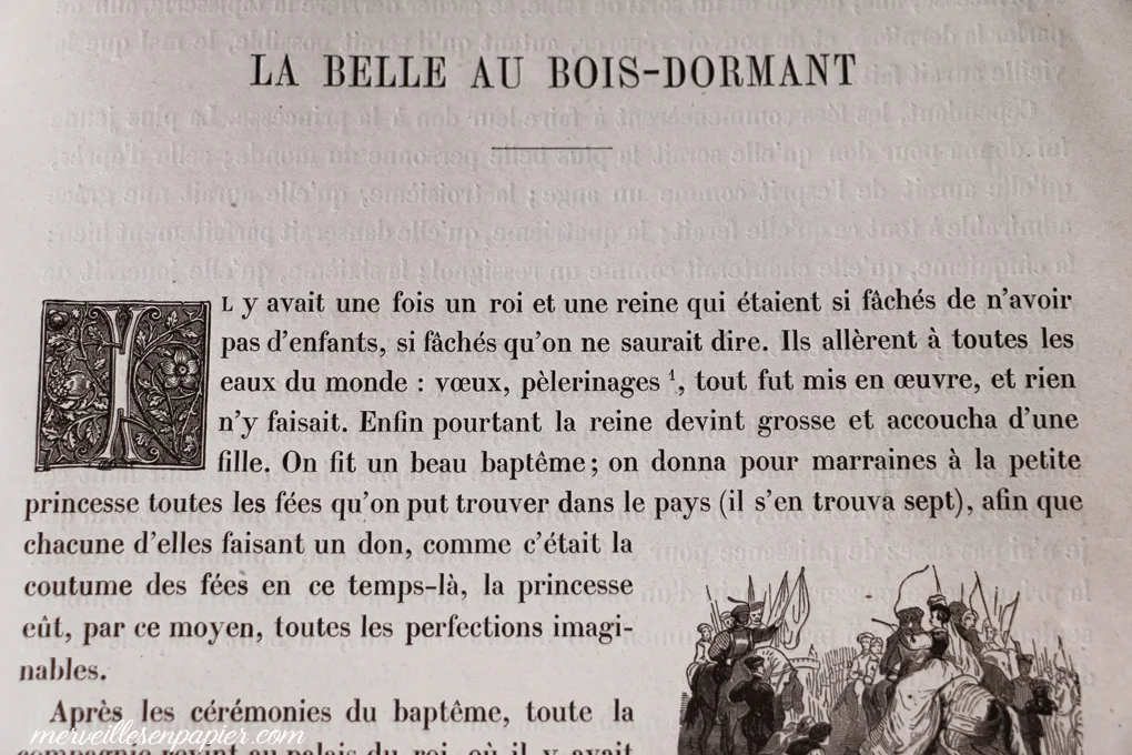Sleeping beauty in the Wood - Princess and papers — Merveilles en Papier