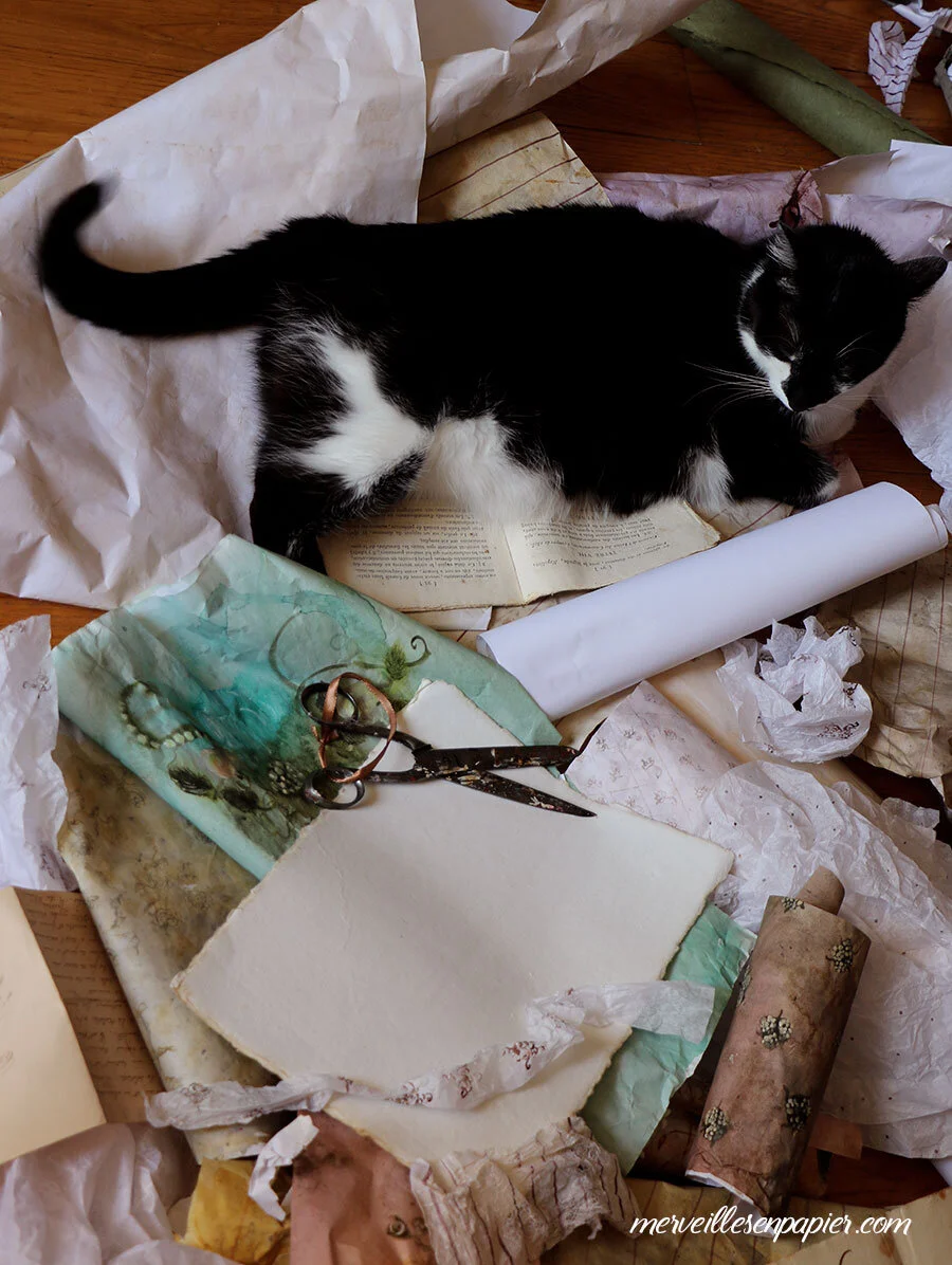 My Love for Paper as a Paper artist — Merveilles en Papier