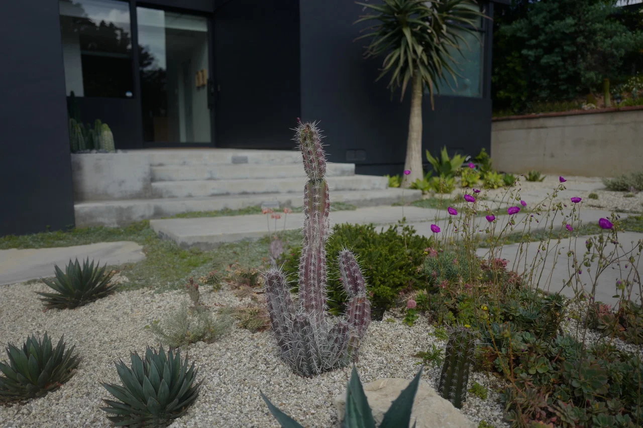 Miniscape Projects - Miniscape Projects