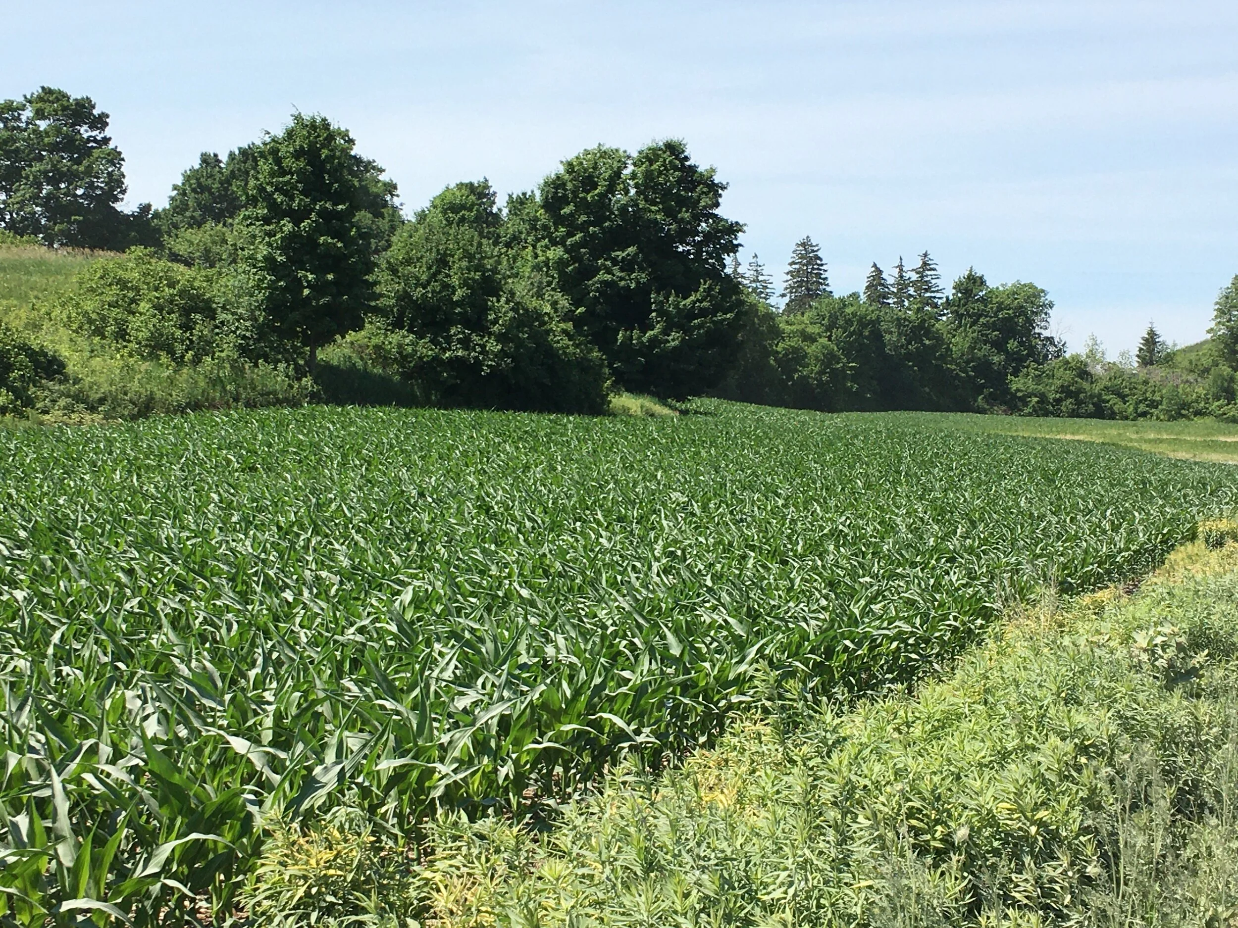 Harrington 2 Pit — GravelFacts.ca