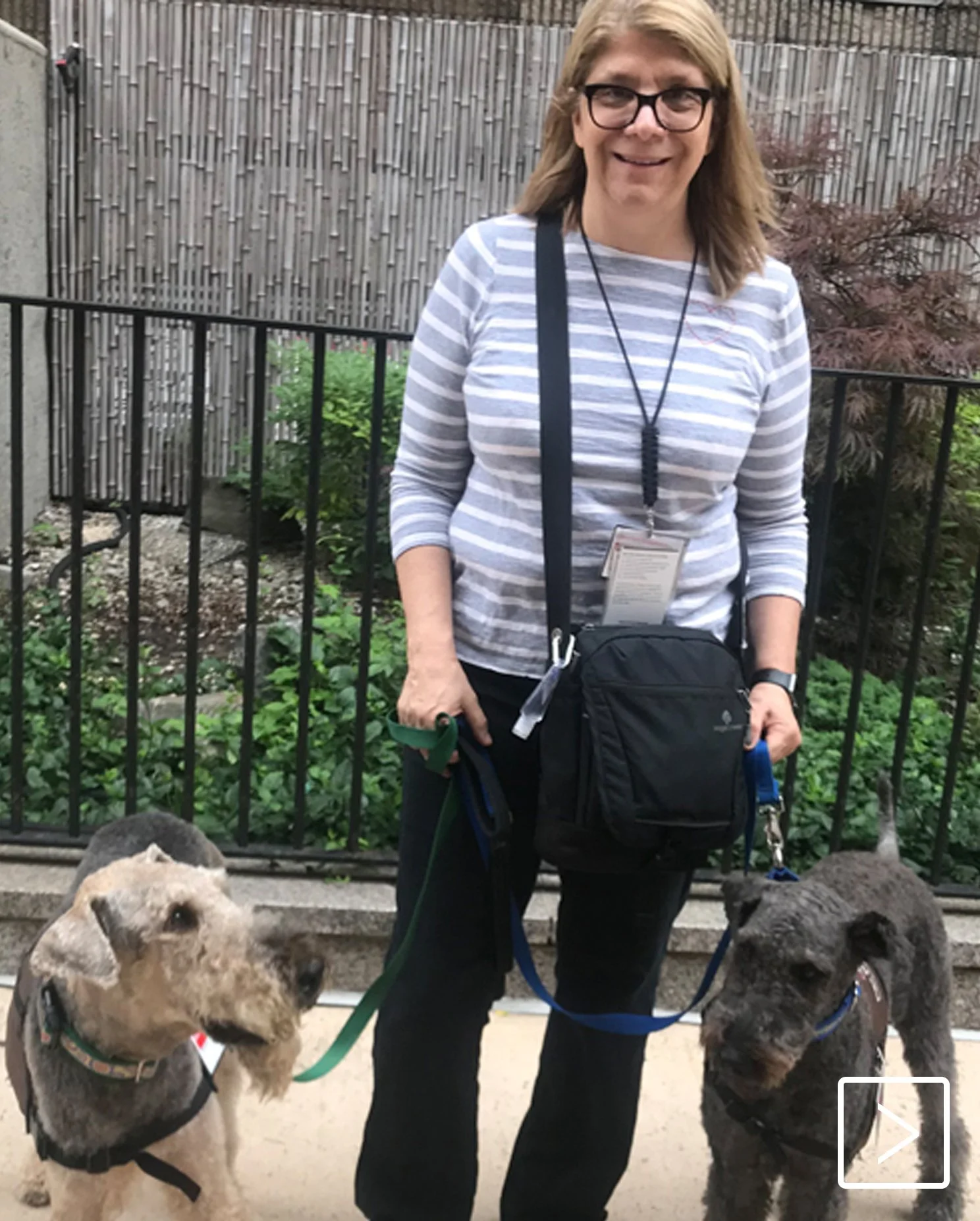 US BOARD OF DIRECTORS — Wild Tomorrow