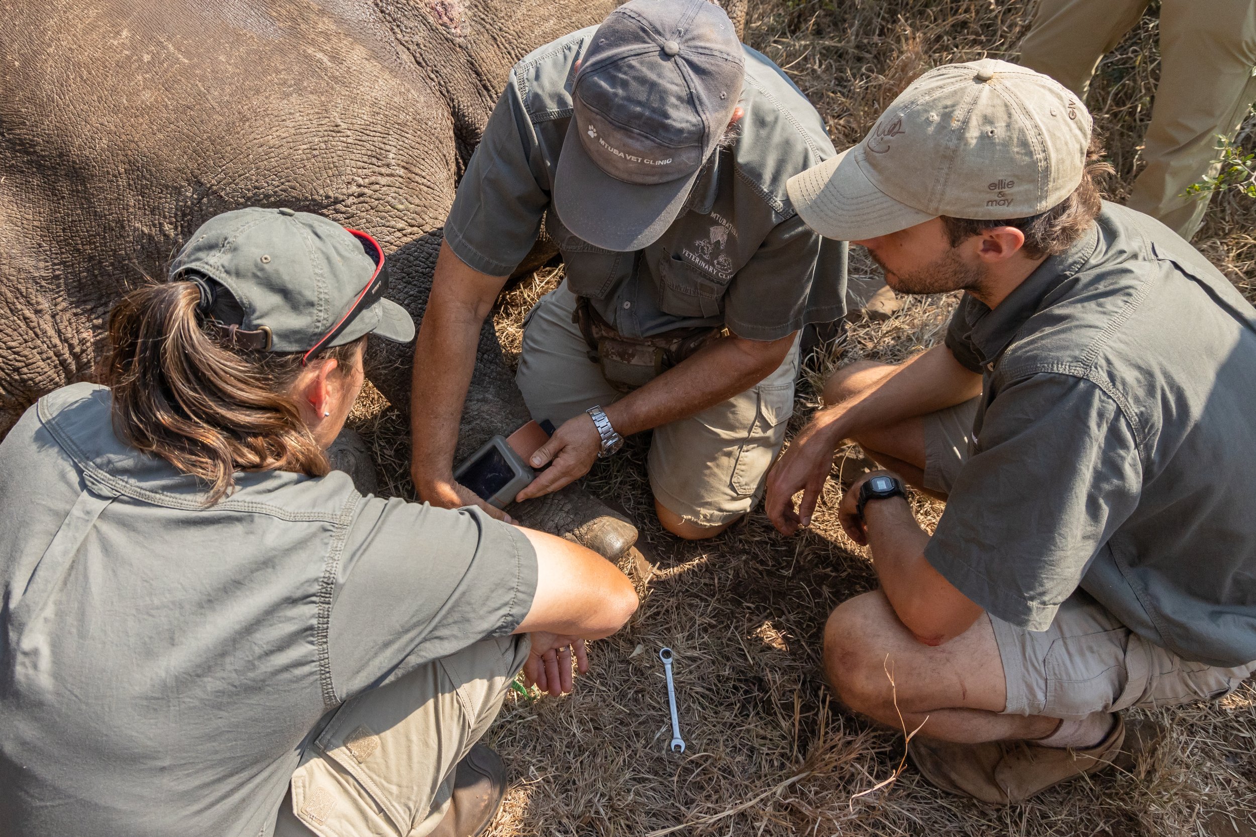 ARTIFICIAL INTELLIGENCE FOR RHINO CONSERVATION — Wild Tomorrow
