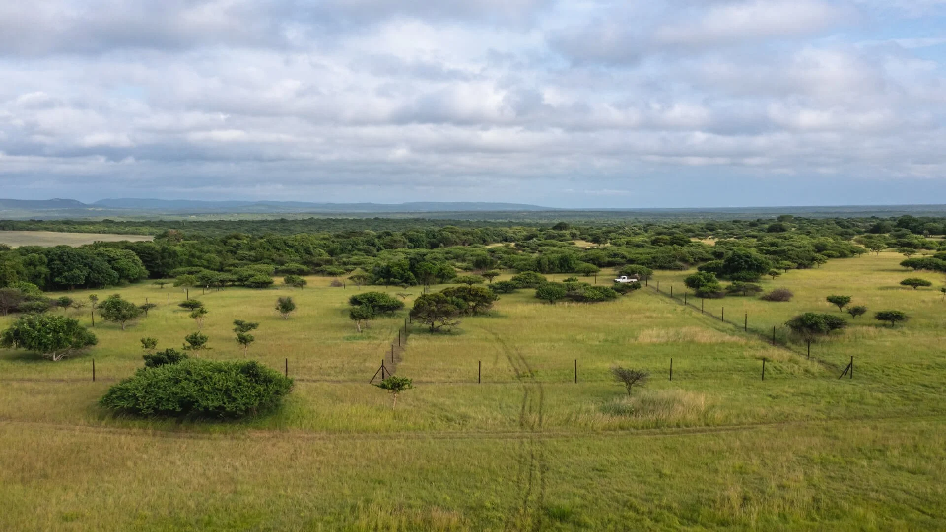 BUILDING A SECOND CHANCE WITH SOFT RELEASE ENCLOSURES — Wild Tomorrow