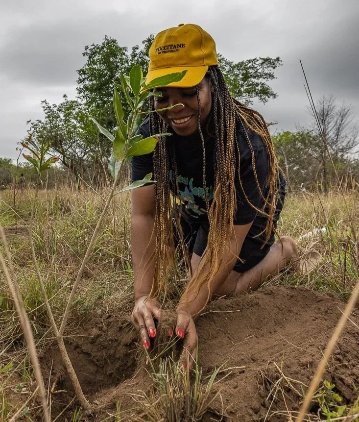 PLANTING BEGINS AT UKUWELA'S SAND FOREST — Wild Tomorrow