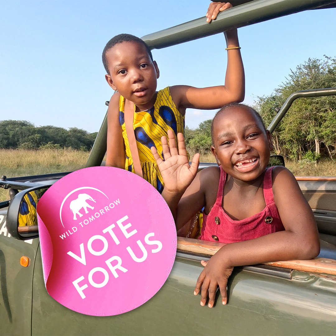 HELP US WIN FOR WILDLIFE AND WILD PLACES! — Wild Tomorrow