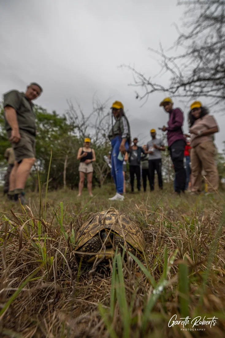 PLANTING BEGINS AT UKUWELA'S SAND FOREST — Wild Tomorrow