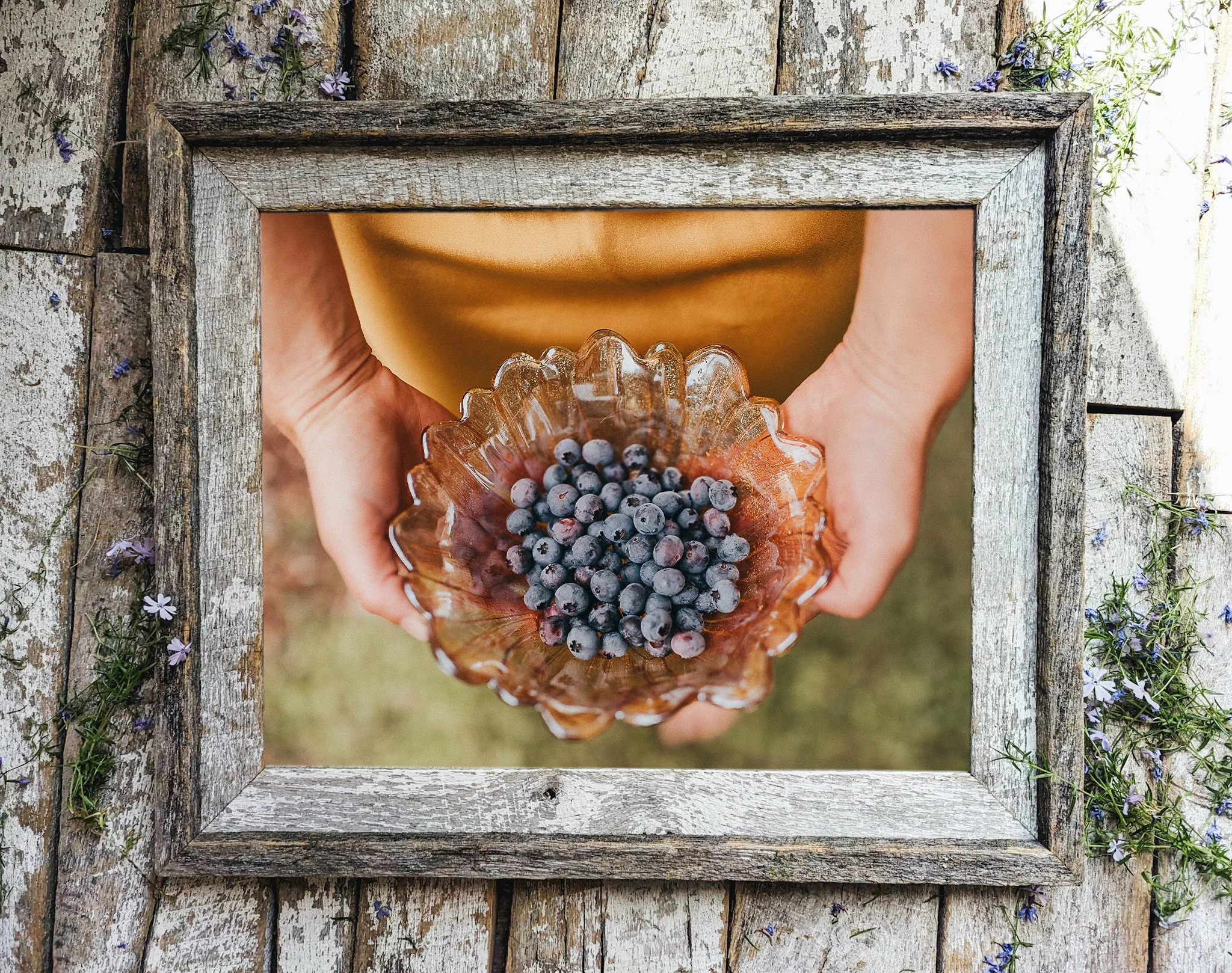 Standard Framing — Beaux & Arrows | Maine Photographer