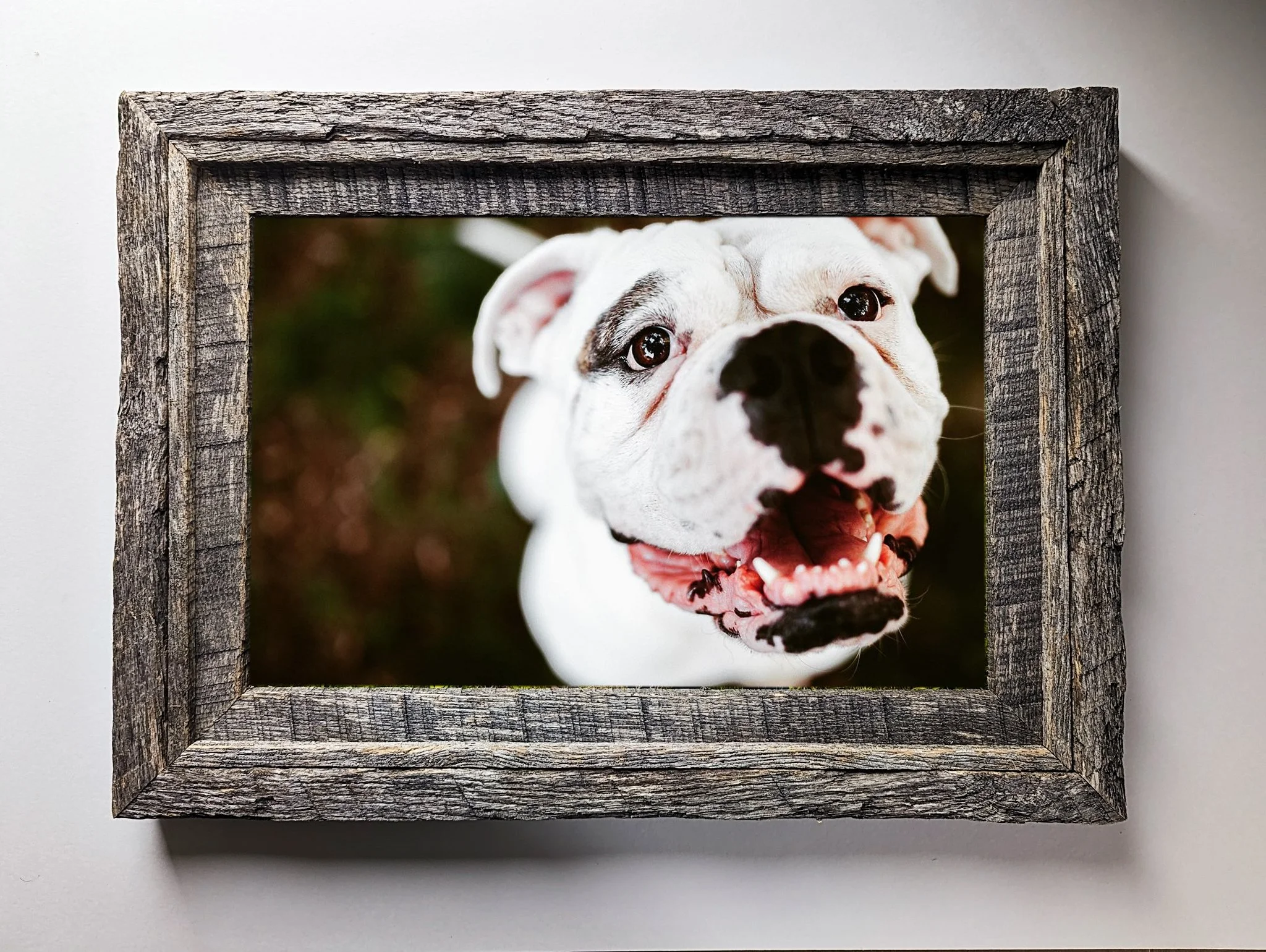 Standard Framing — Beaux & Arrows | Maine Photographer