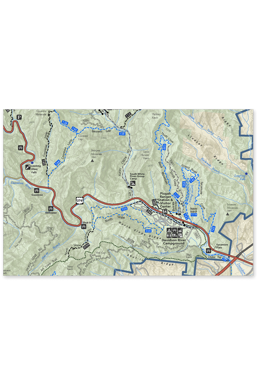 DuPont State Recreational Forest Wall Map — Pisgah Map Co.