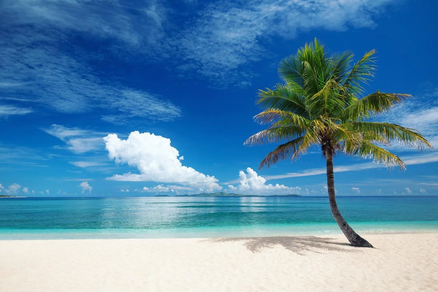 Tavarua Island Resort