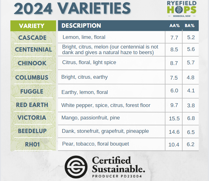 Hops grown in NSW for craft breweries and homebrewers. — Ryefield Hops