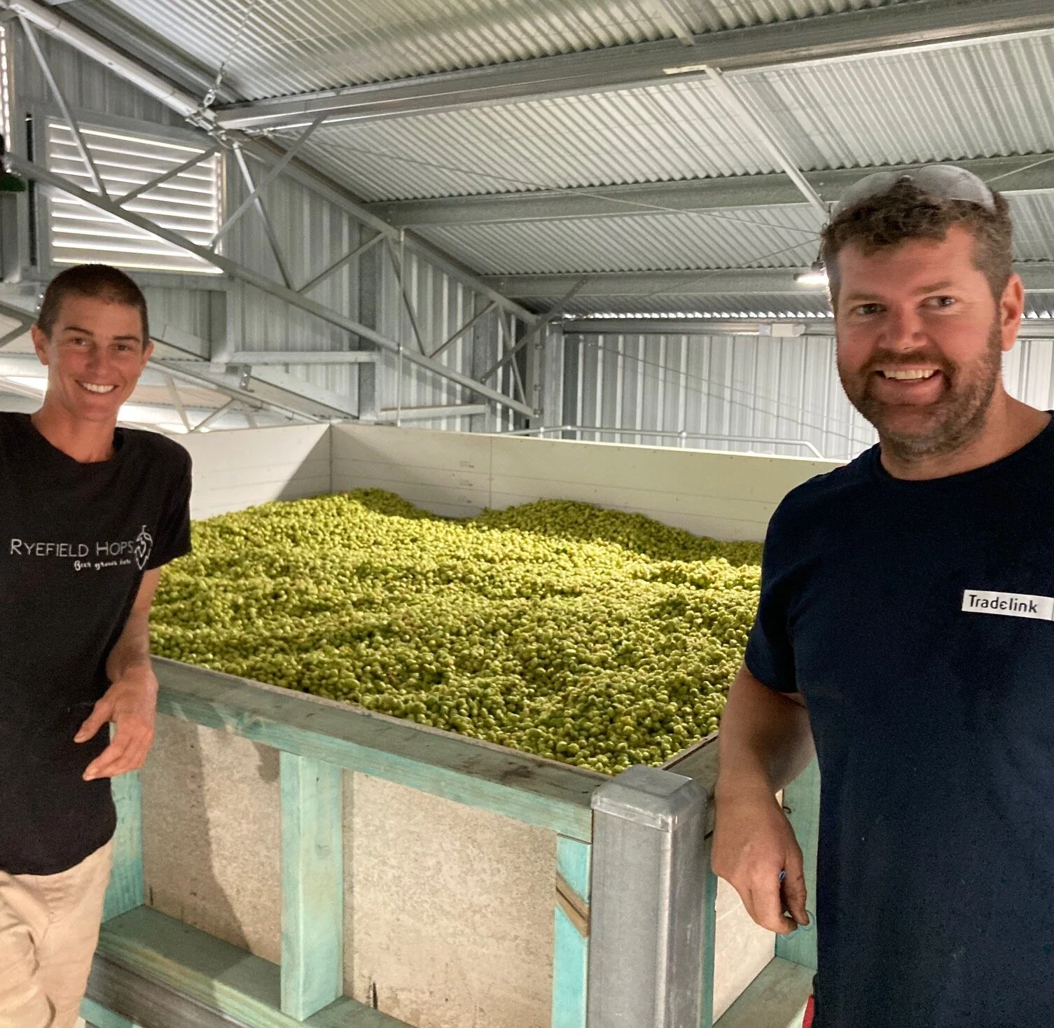 Hops grown in NSW for craft breweries and homebrewers. — Ryefield Hops