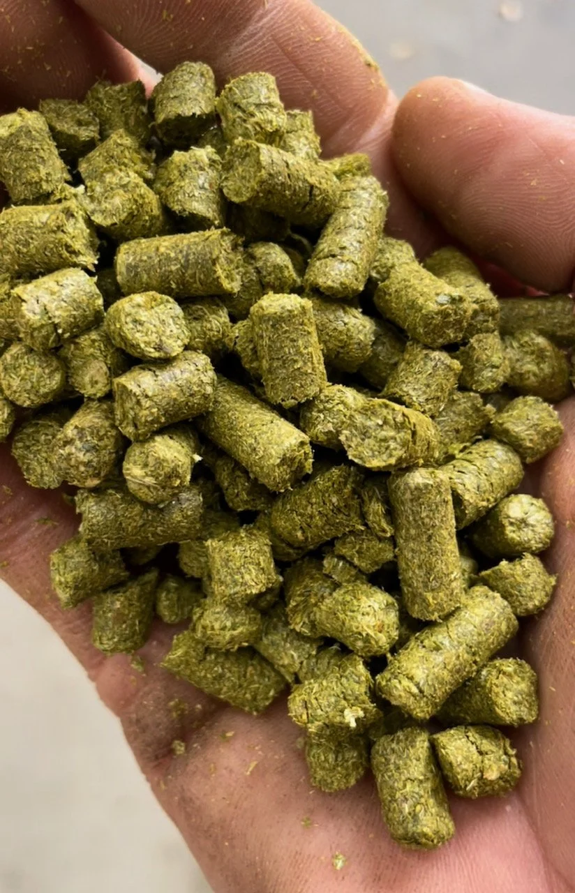 Shop — Ryefield Hops