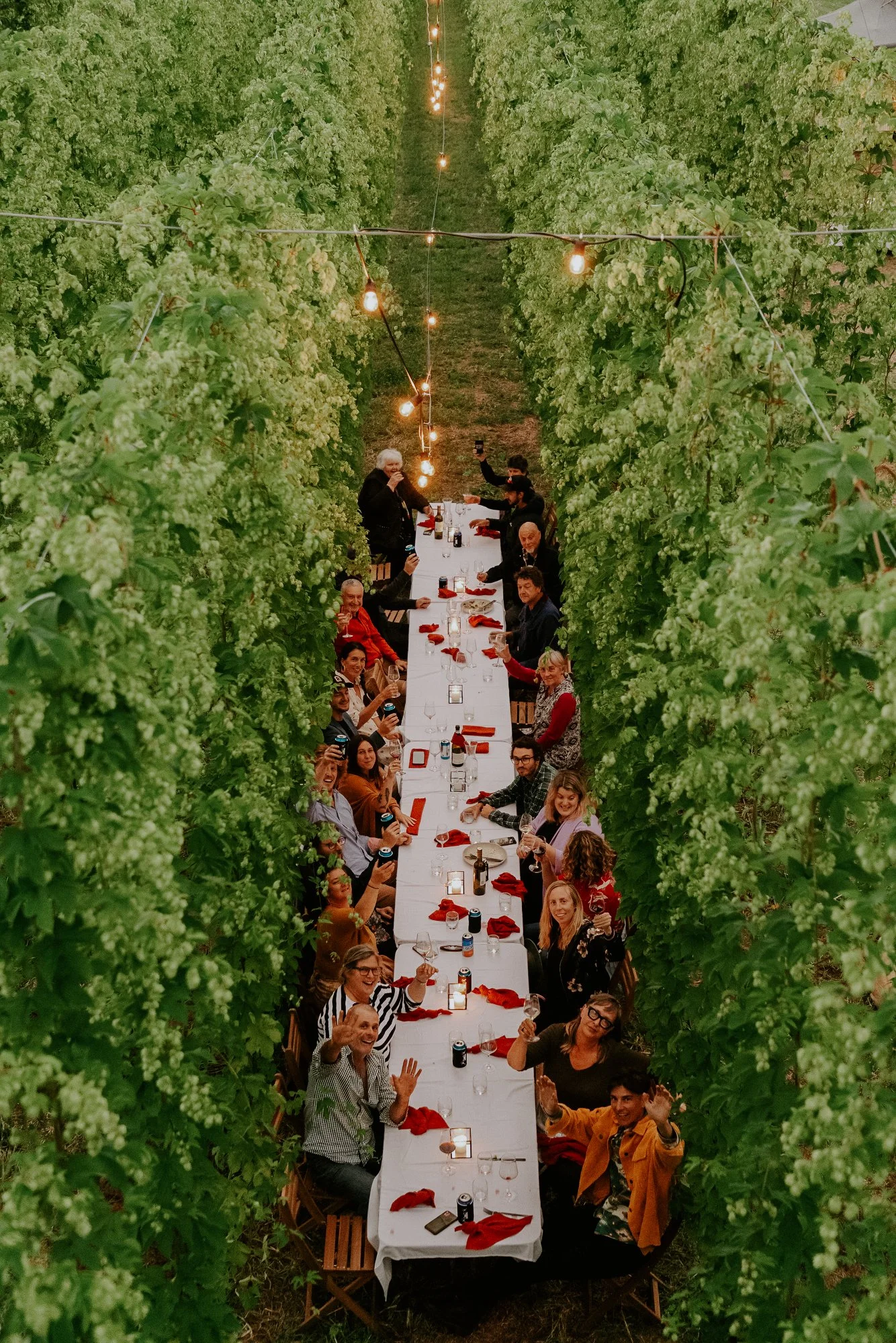 Dine in the Bines ticket — Ryefield Hops