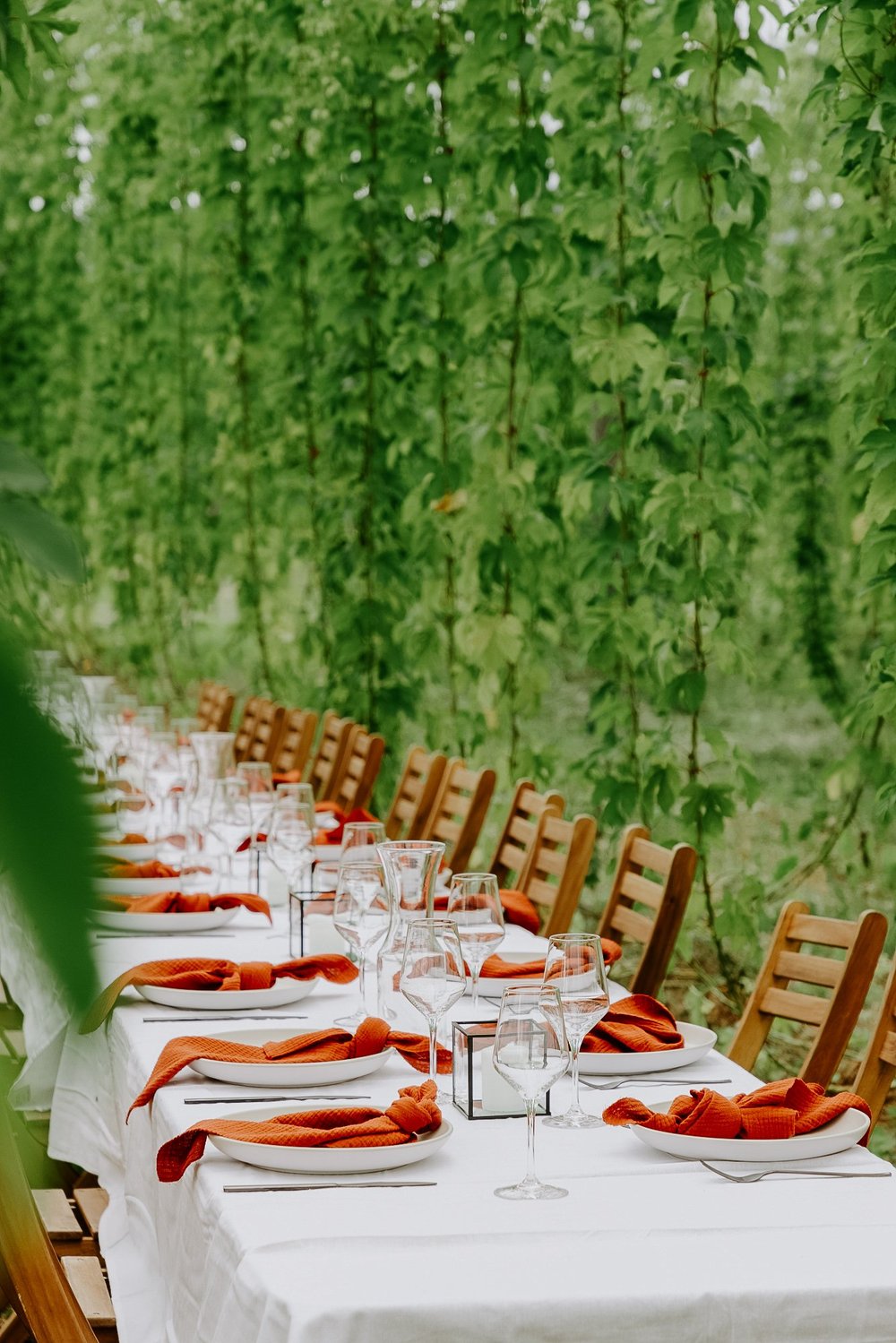 Dine in the bines — Ryefield Hops