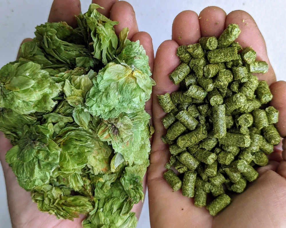 Ryefield Hops, Bemboka NSW