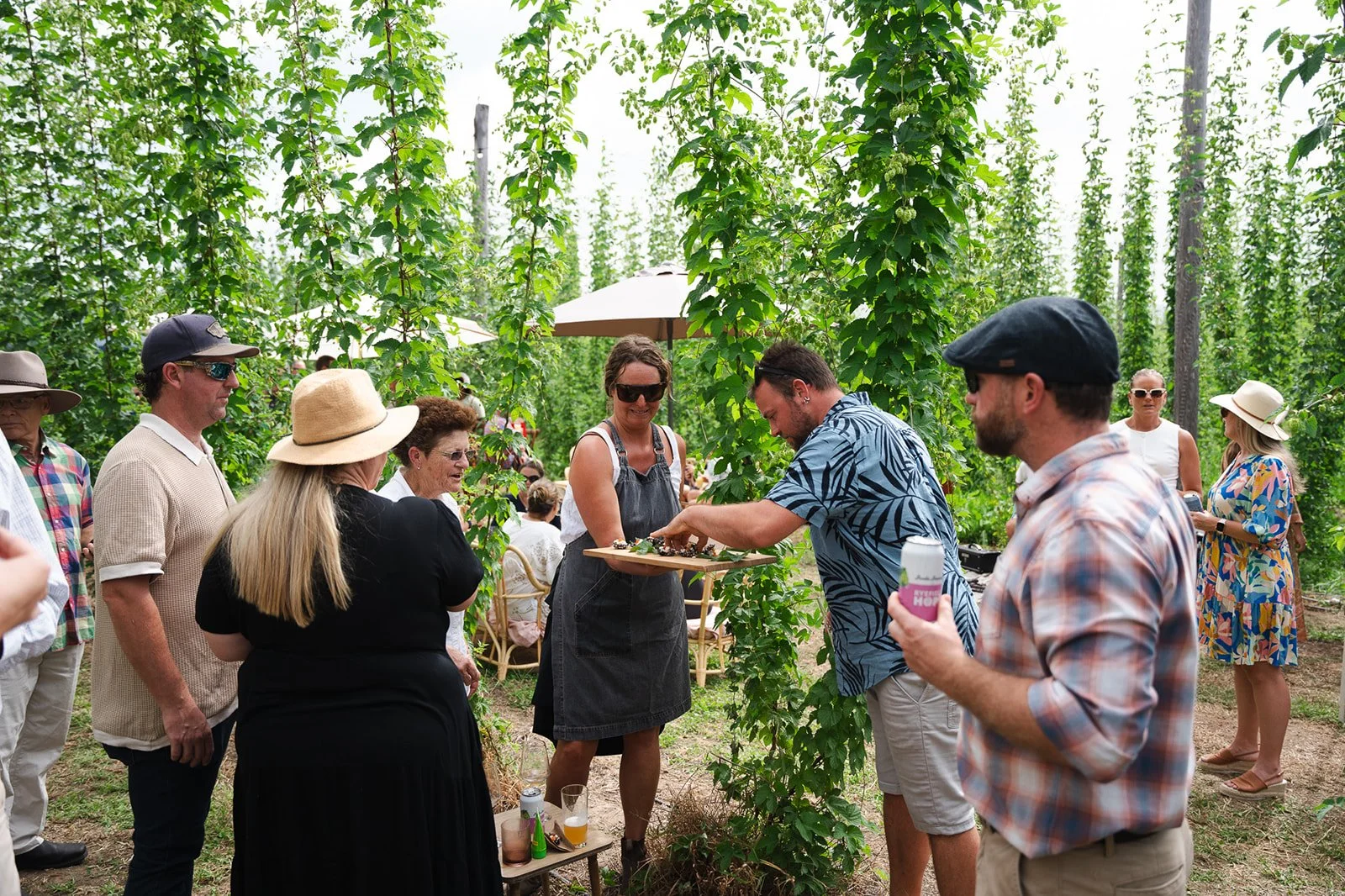 Dine in the bines — Ryefield Hops