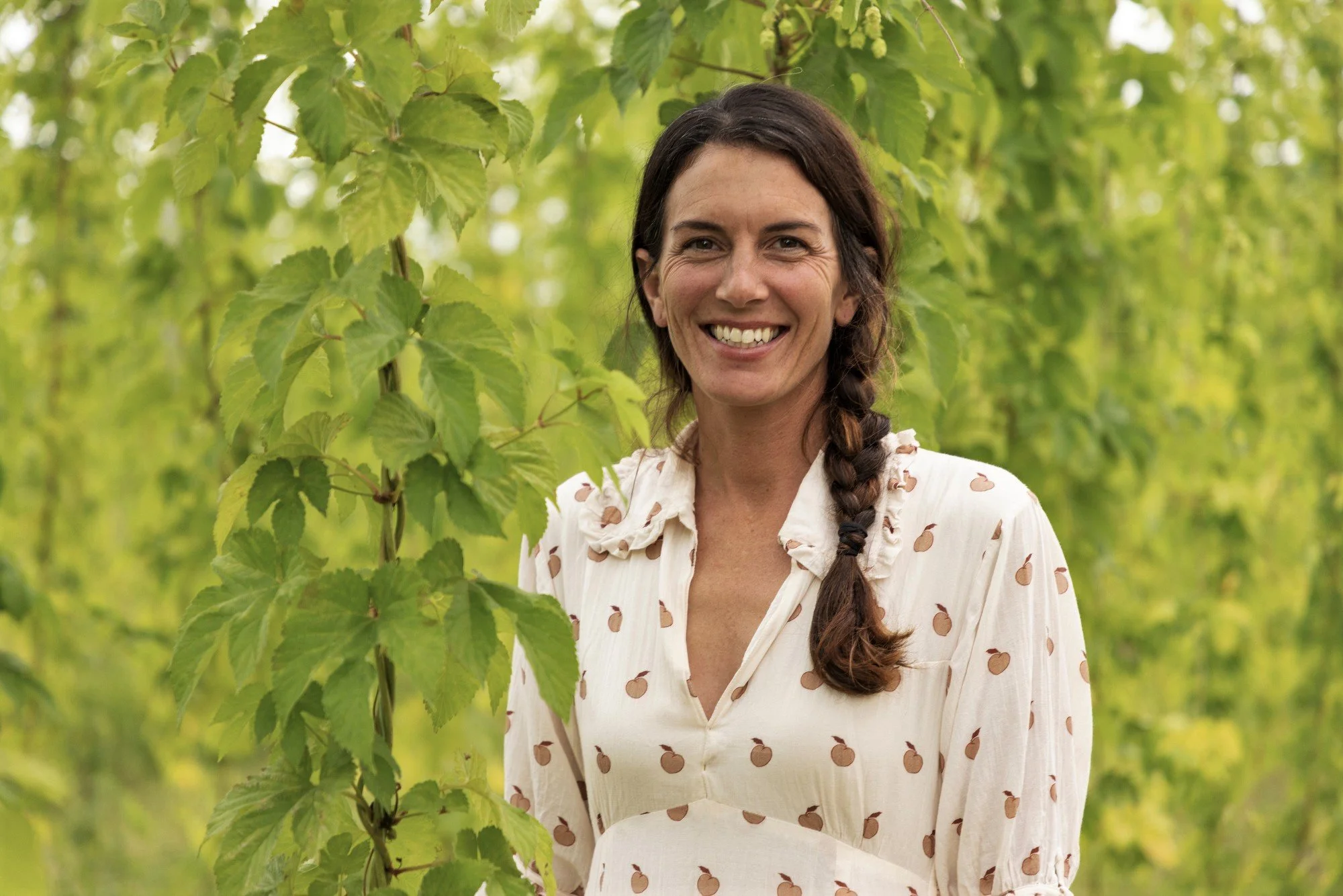 Ryefield Hops, Bemboka NSW