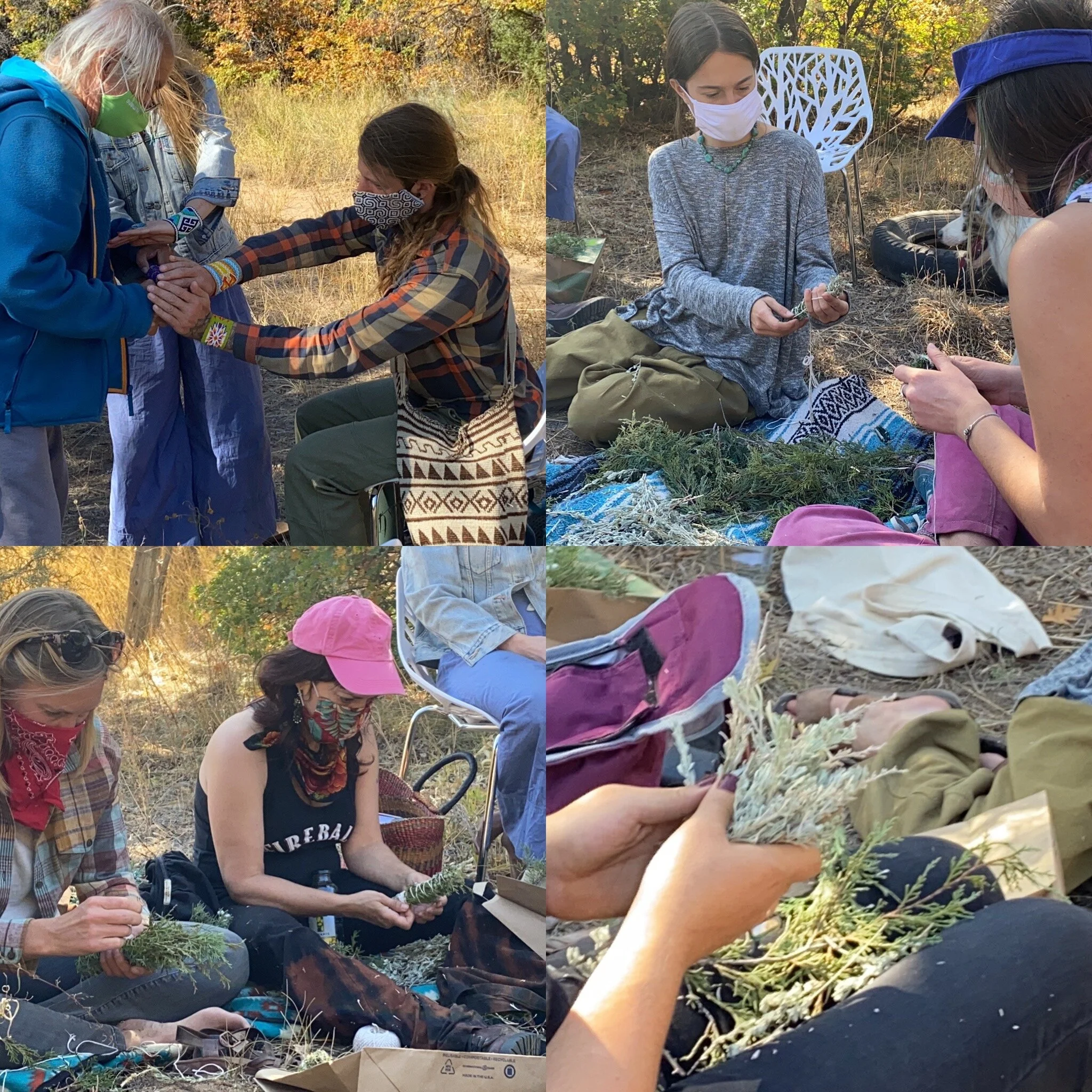 Native Roots Healing-Ancestral Folk and Herbal Medicine Collective ...