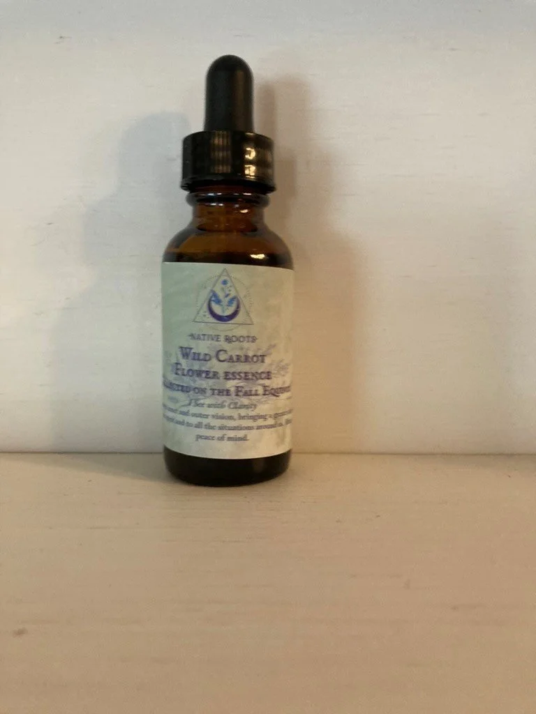 Native Roots Healing-Ancestral Folk and Herbal Medicine Collective ...