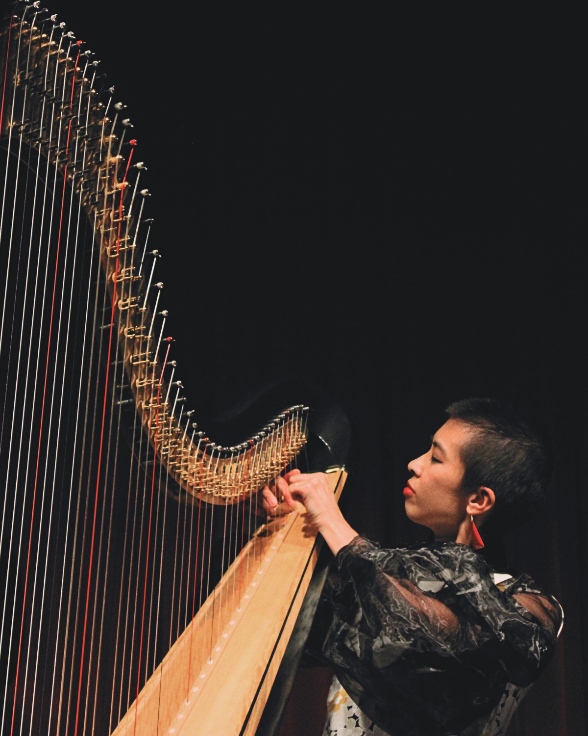 USA International Harp Competition