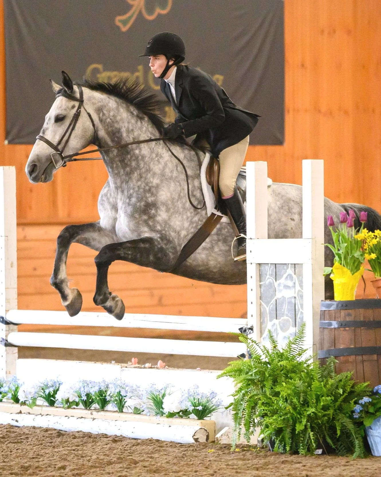 2024 Horse Show Schedule — Carlie Bouvier Photography