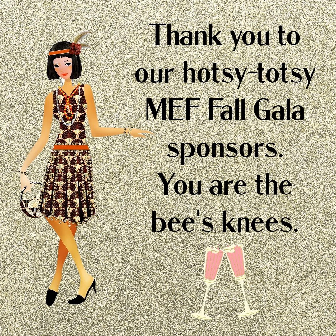 MEF Fall Gala — Madison Education Foundation