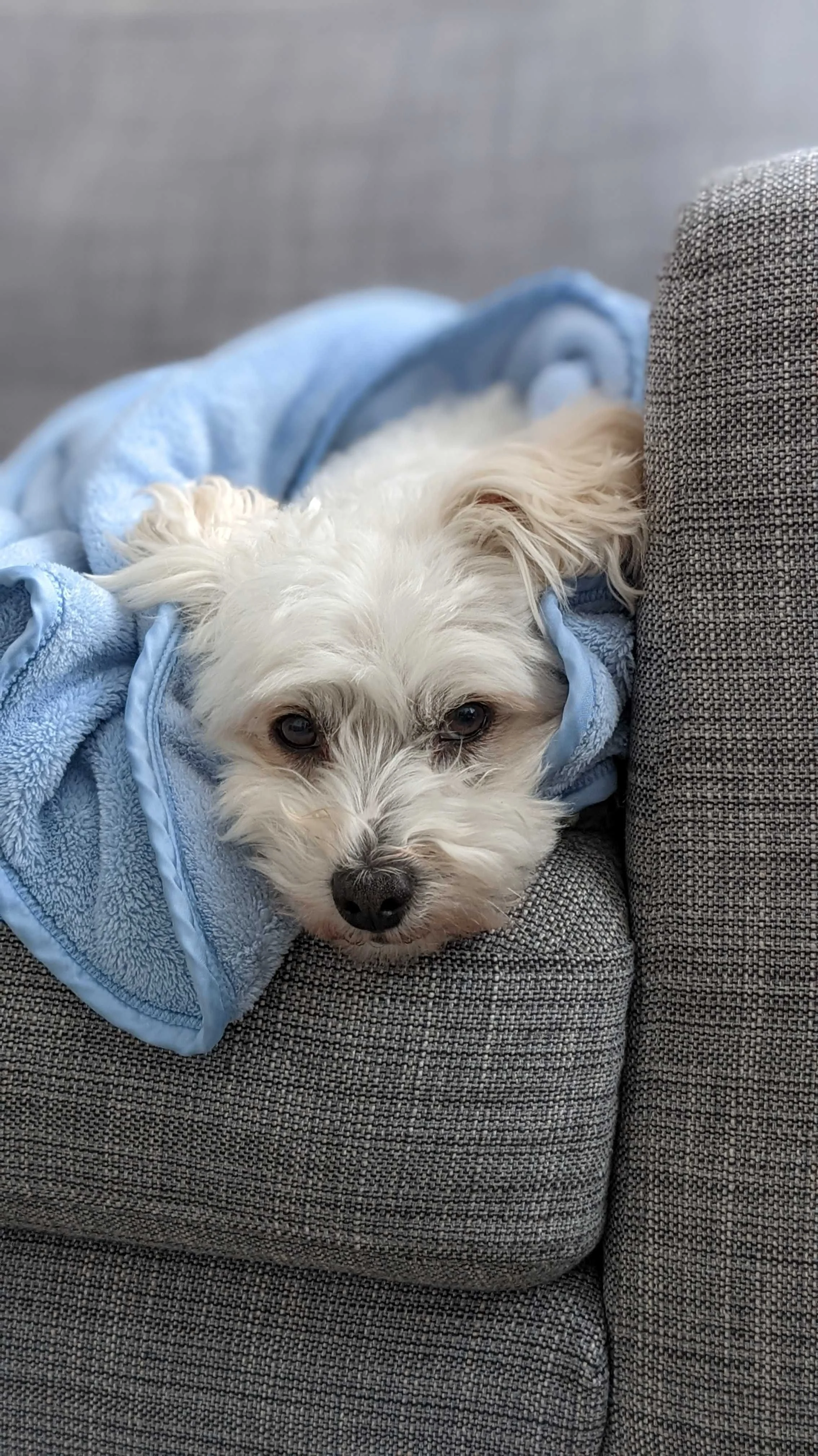 Merilee Teylan — Kinetic West