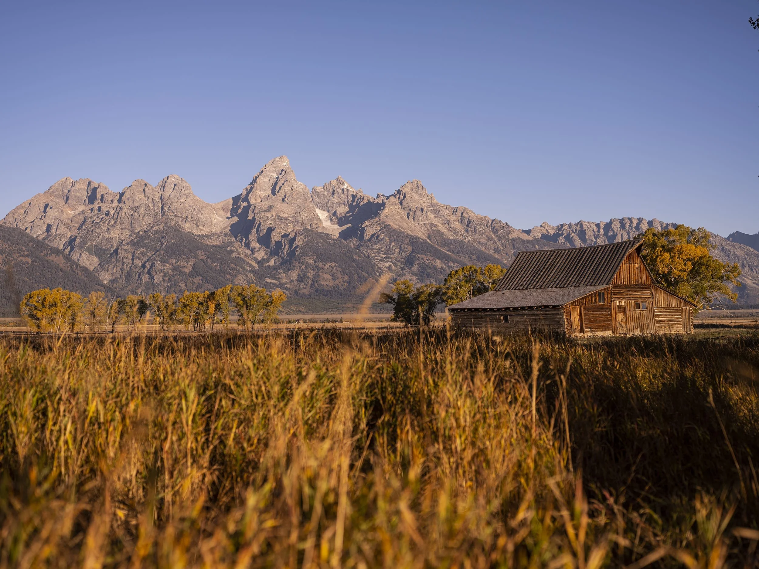 Jackson Hole — Cooper Pacific Kitchens