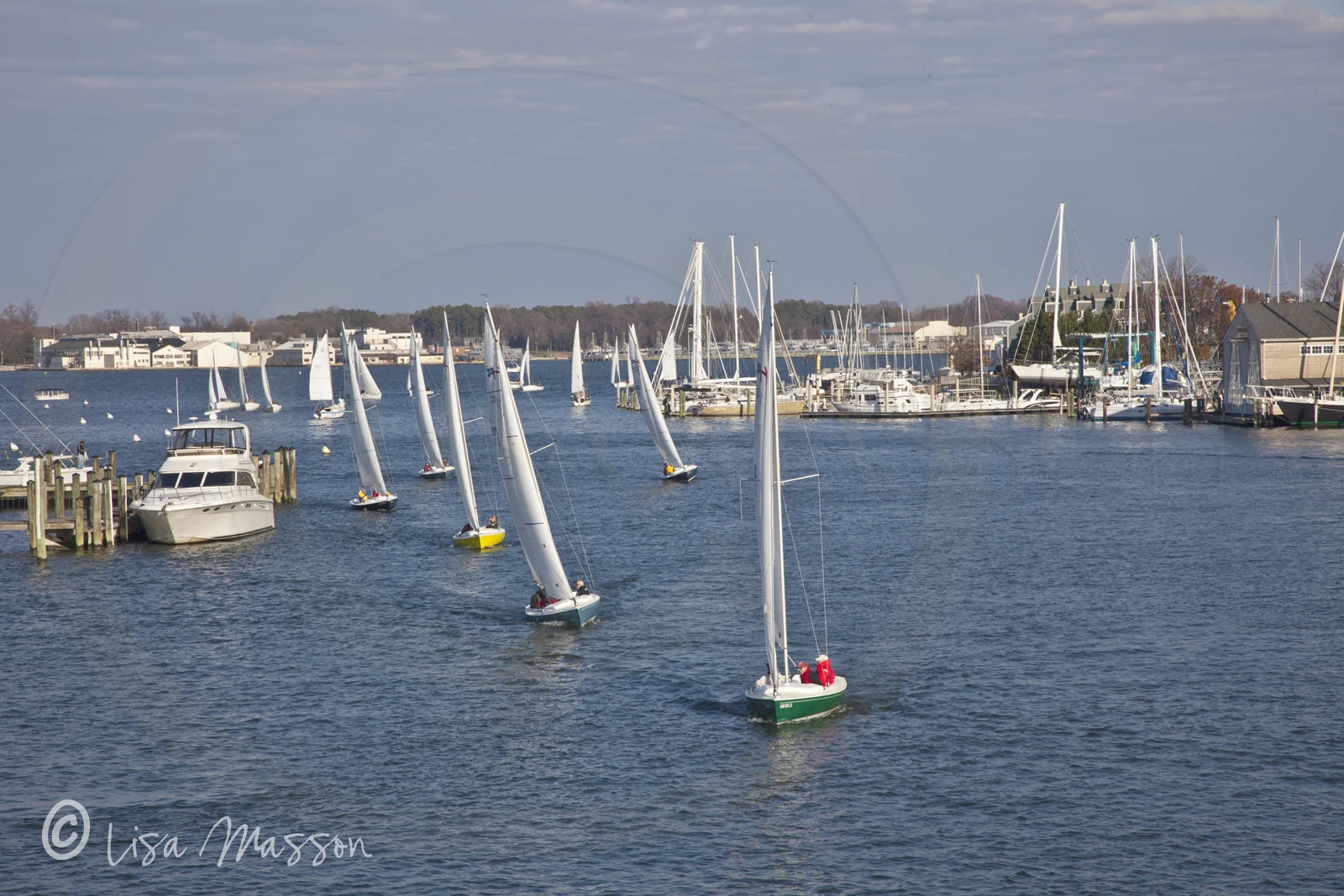 Annapolis Waterways — Lisa Masson Photography