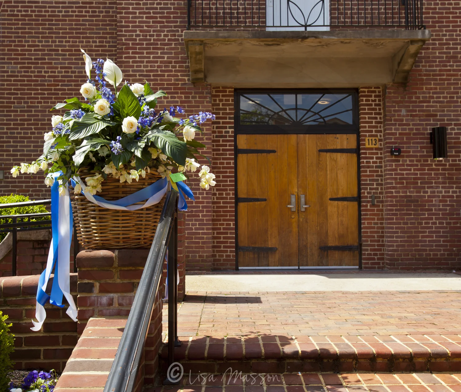 Annapolis — Lisa Masson Photography