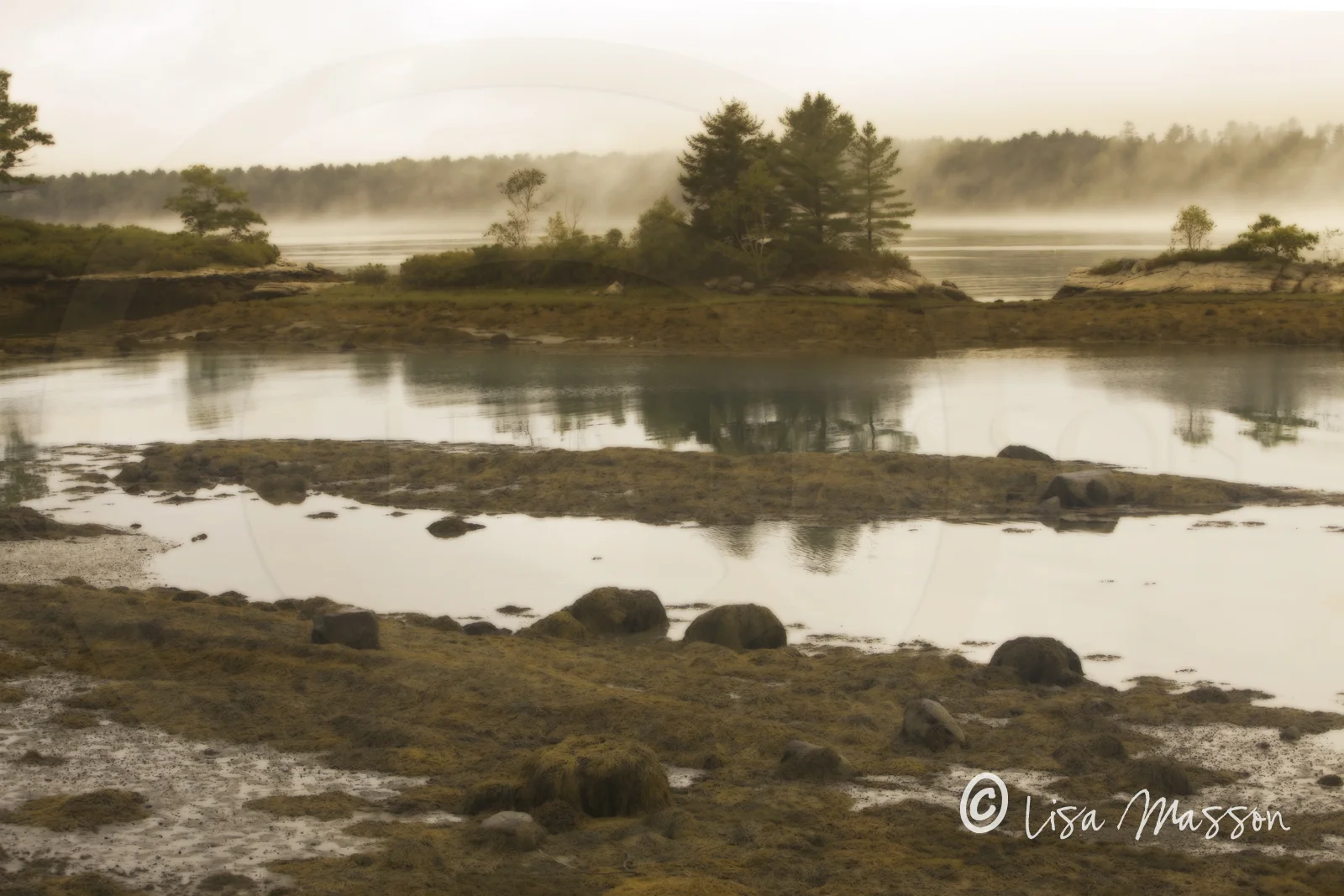 Coastal — Lisa Masson Photography