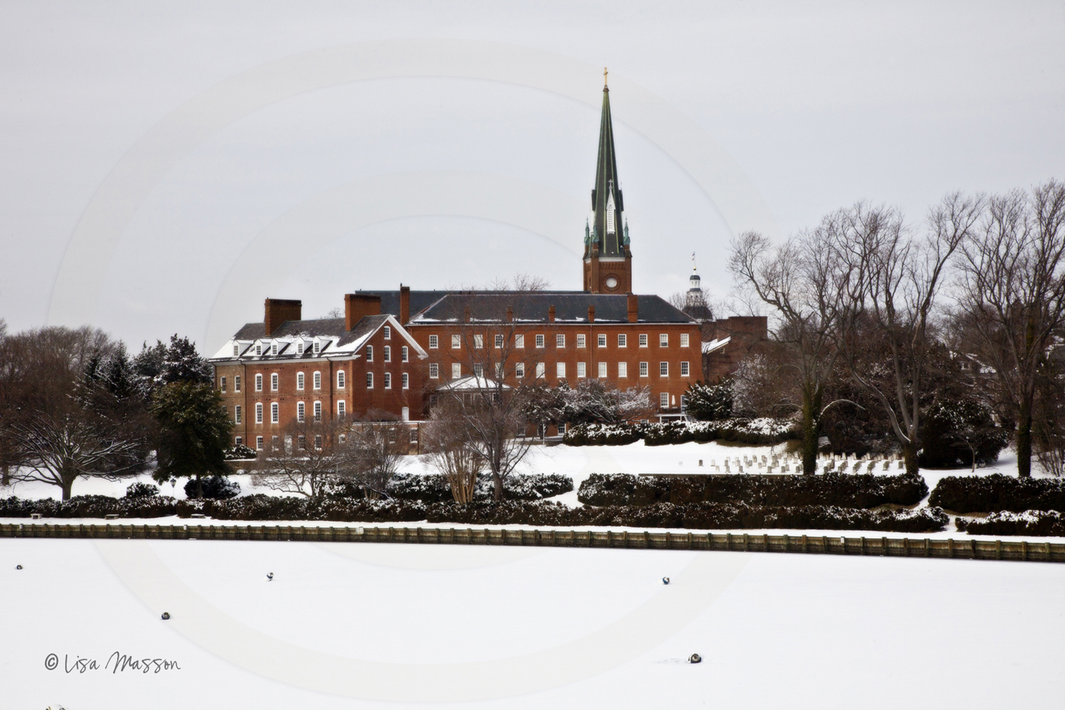 Winter — Lisa Masson Photography