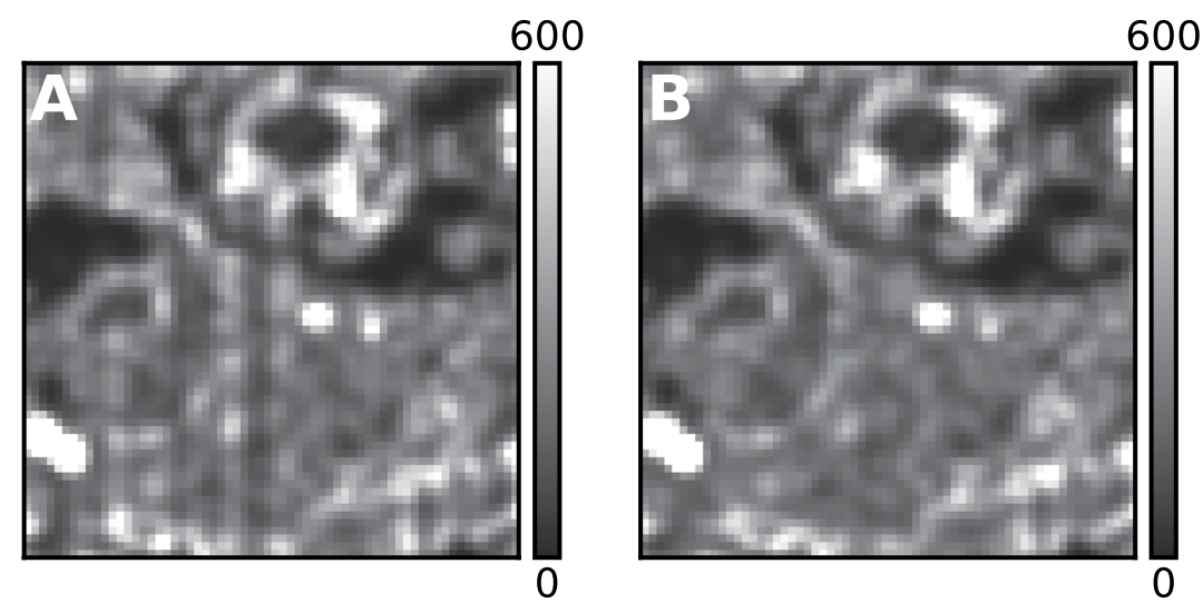 Publications — Speer Lab