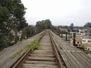 Trail Width Matters — Santa Cruz County Greenway