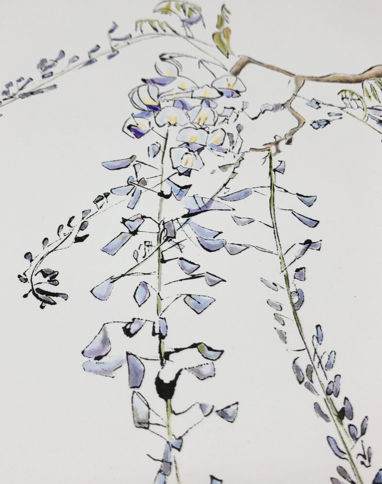 Art journal by watercolour artist Lucy Clayton. Inspired by food ...