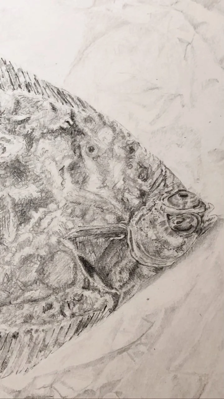 Watercolour Paintings and Blotted Line Drawings by Lucy Clayton. Member ...