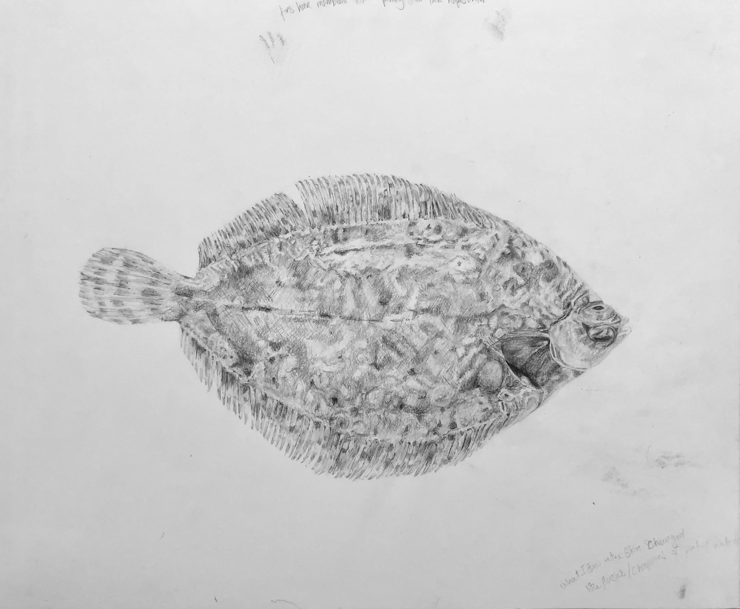 drawing — Art journal by watercolour artist Lucy Clayton SGFA. Inspired ...
