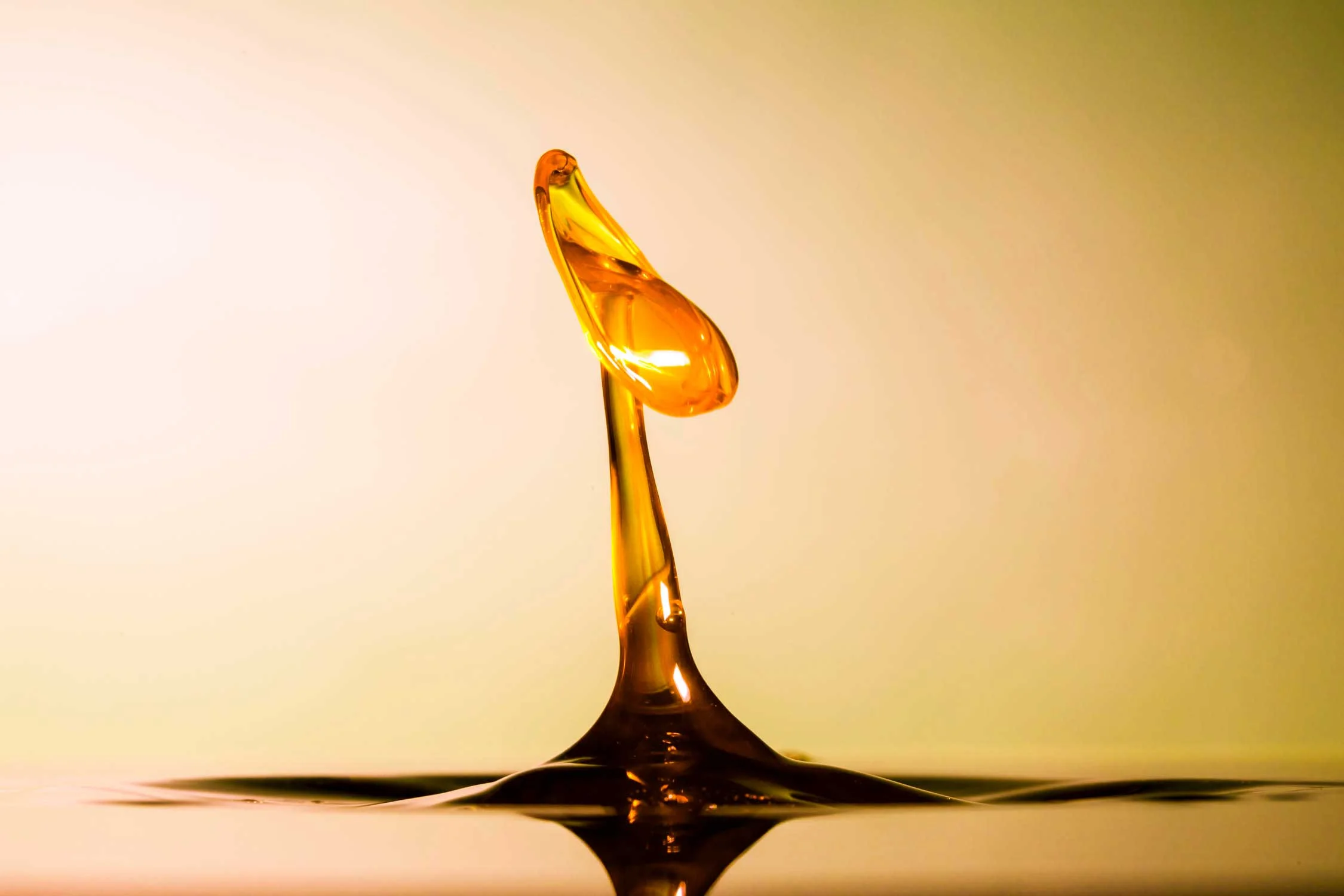 Water Drop Photography Setup