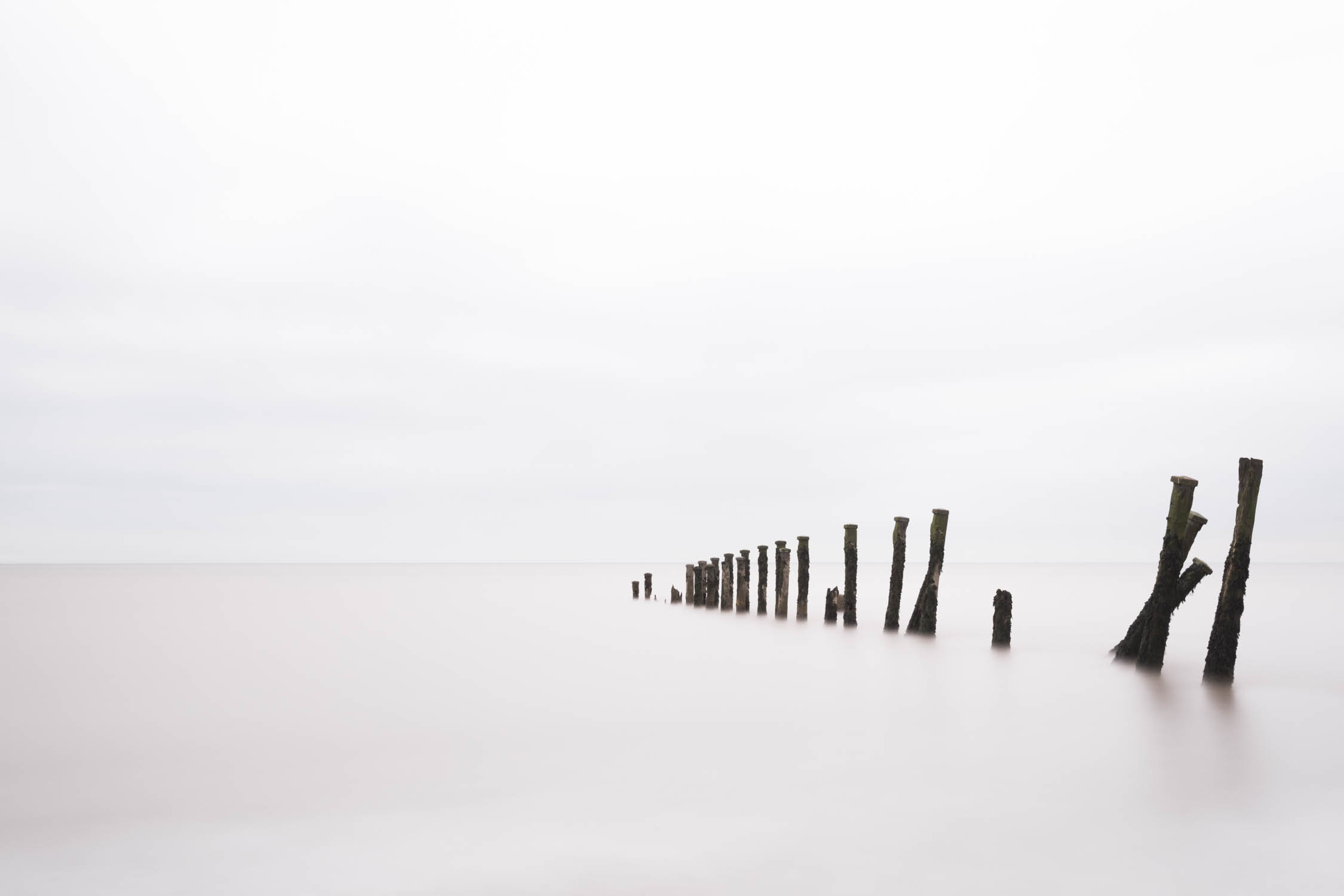 Simplification Photography