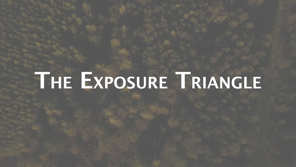 Landscape Photography Masterclass - Online Course from First Man ...