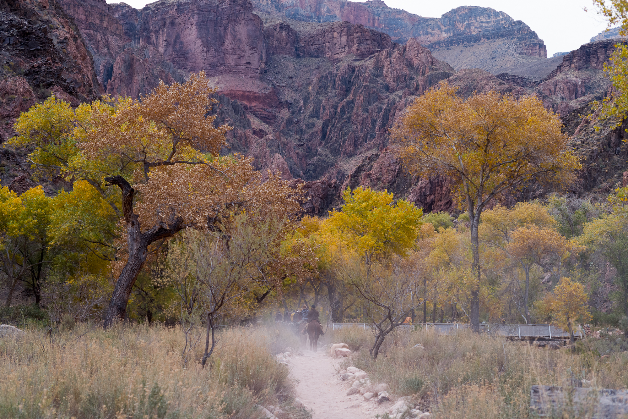 Phantom Ranch, Grand Canyon Hike — Travel Is Beautiful