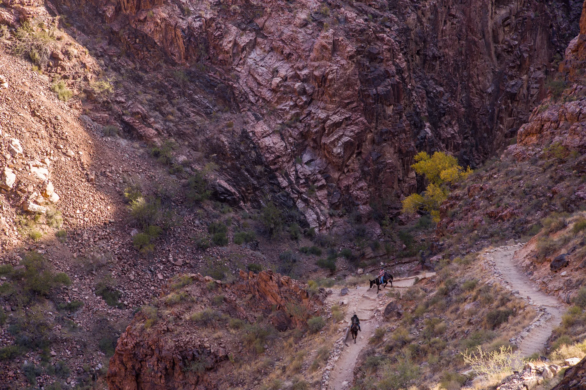Phantom Ranch, Grand Canyon Hike — Travel Is Beautiful