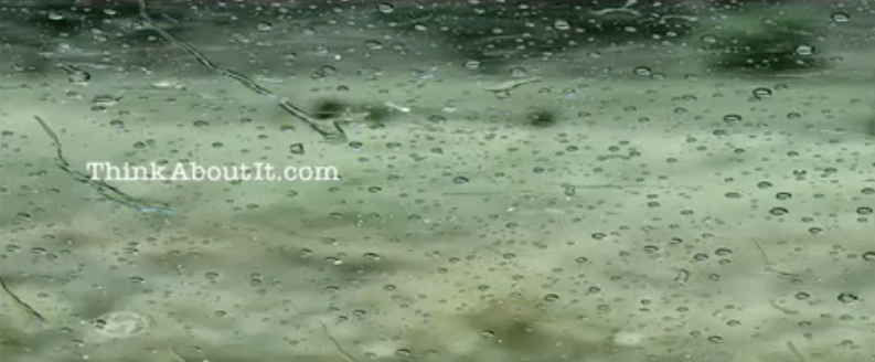 Automotive — BARTON CORLEY