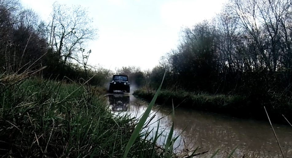 Automotive — BARTON CORLEY