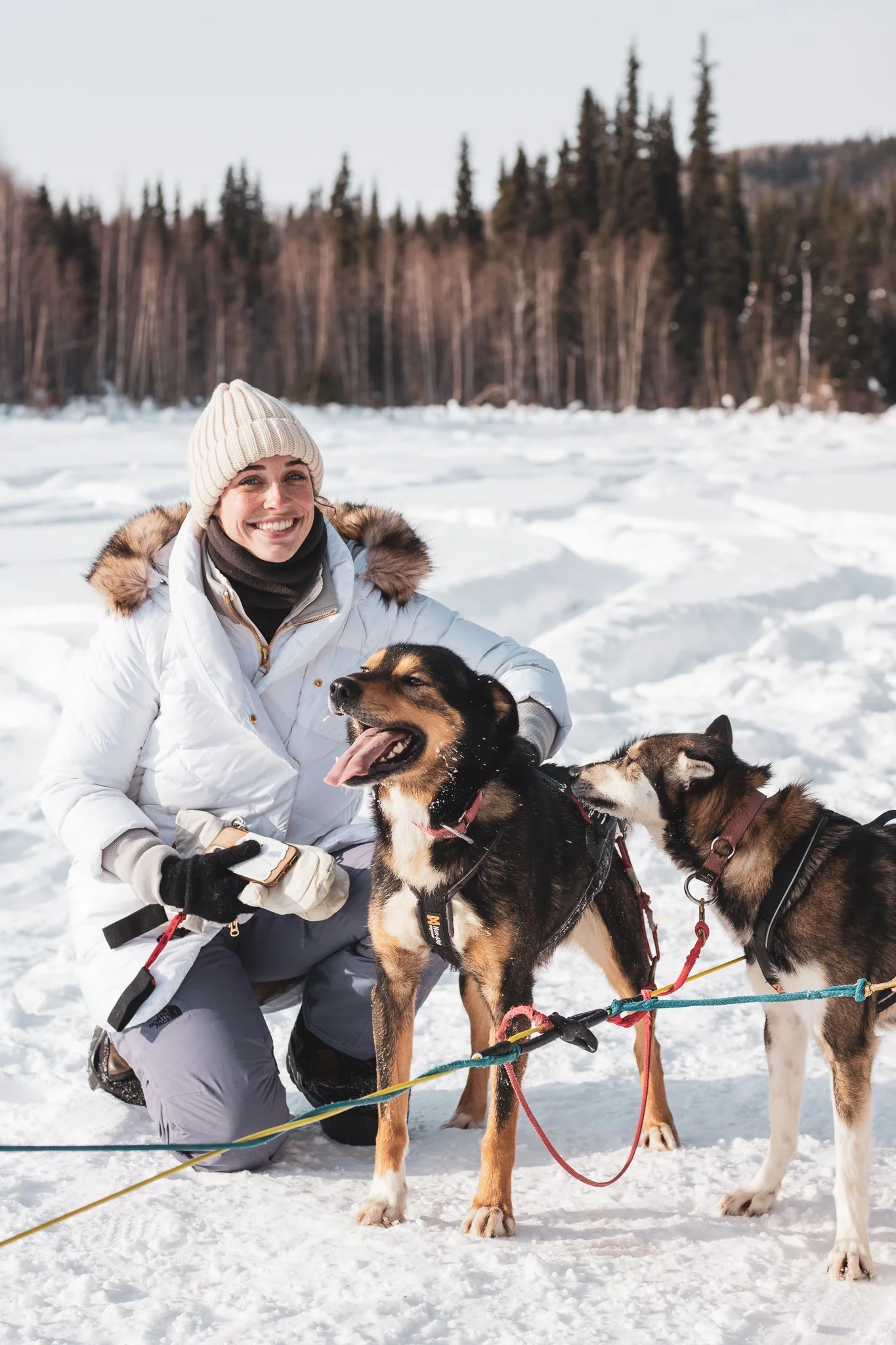 Award Winning Dog Sledding Tour | Fairbanks, Alaska | Aurora Tours & Daily Mushing Adventures ...