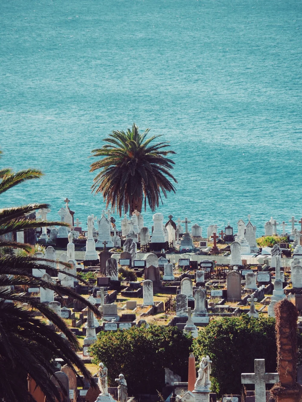 The Eternal Beauty of Waverley Cemetery: Sydney's Historic Resting Place by the Sea — Visit ...
